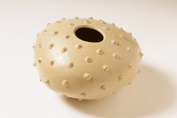 Sasha Price Ceramacist
